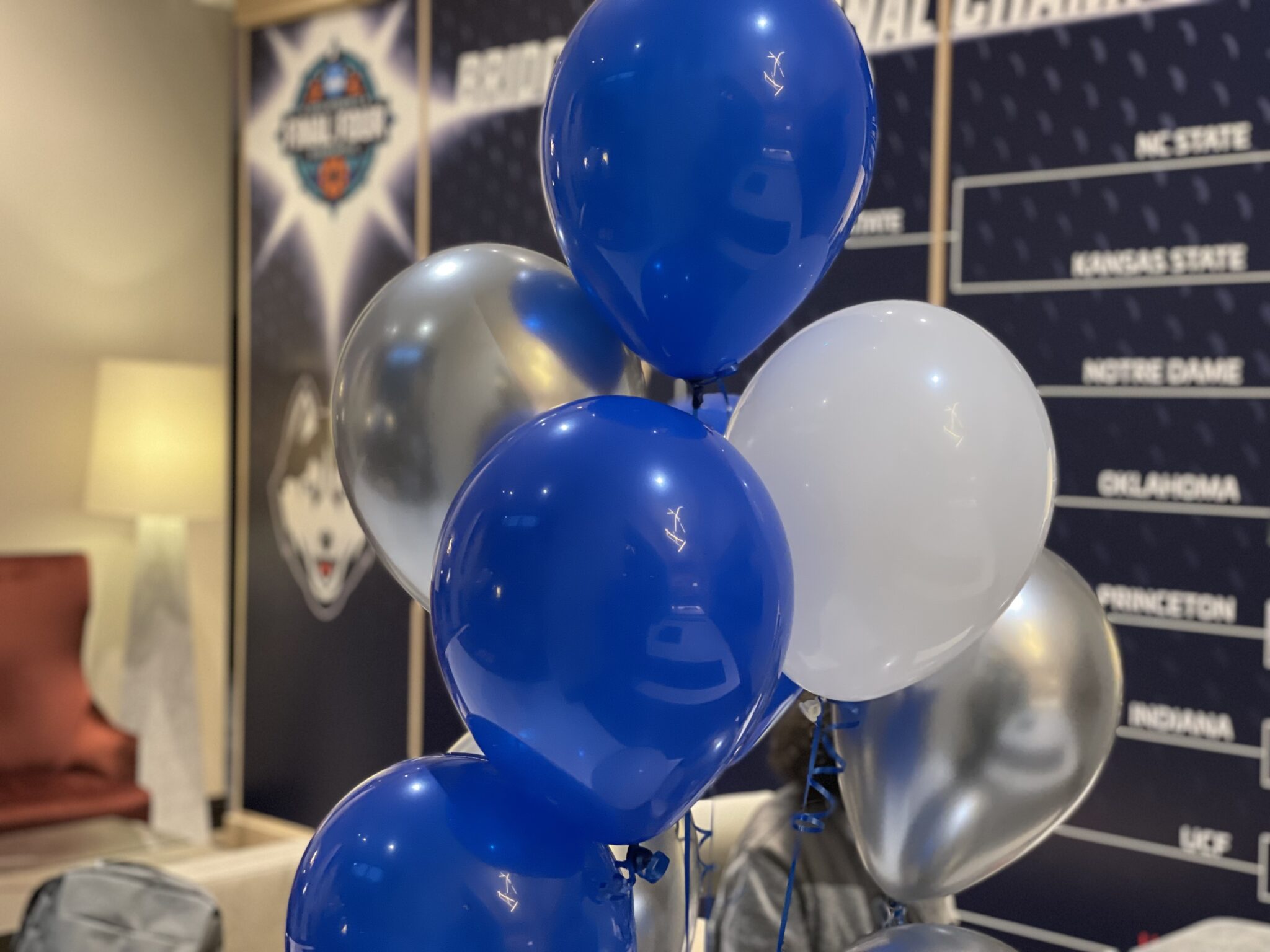 Phancy Balloon Animals Twisting Artstry and Decor Minnesota