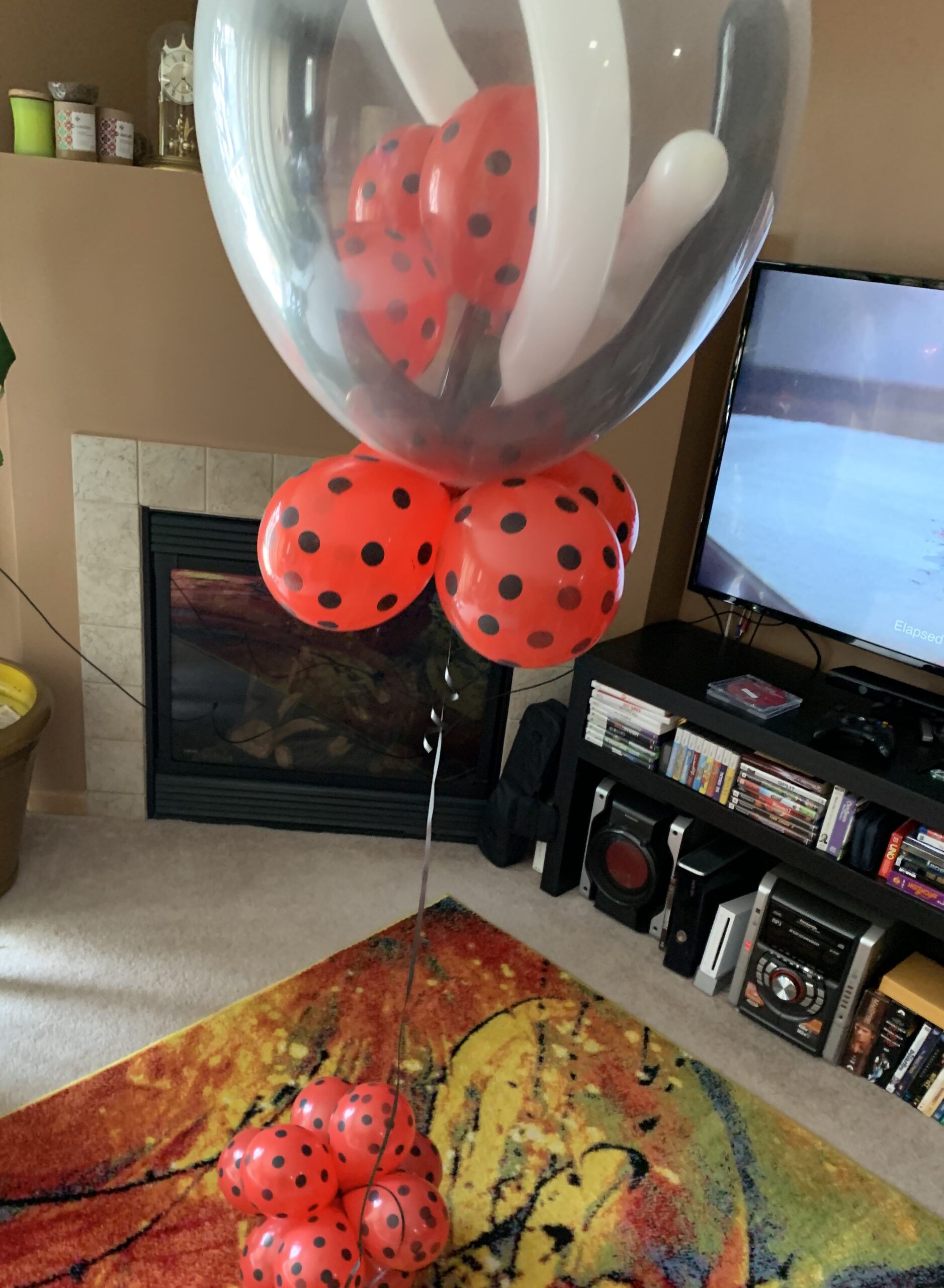 Phancy Balloon Animals Twisting Artstry and Decor Minnesota